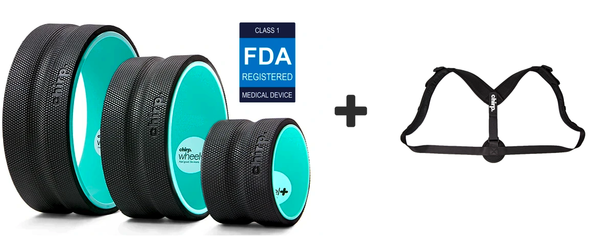 Chirp Wheel - Product Review - Alicia Bell IFBB Pro and Online Coach